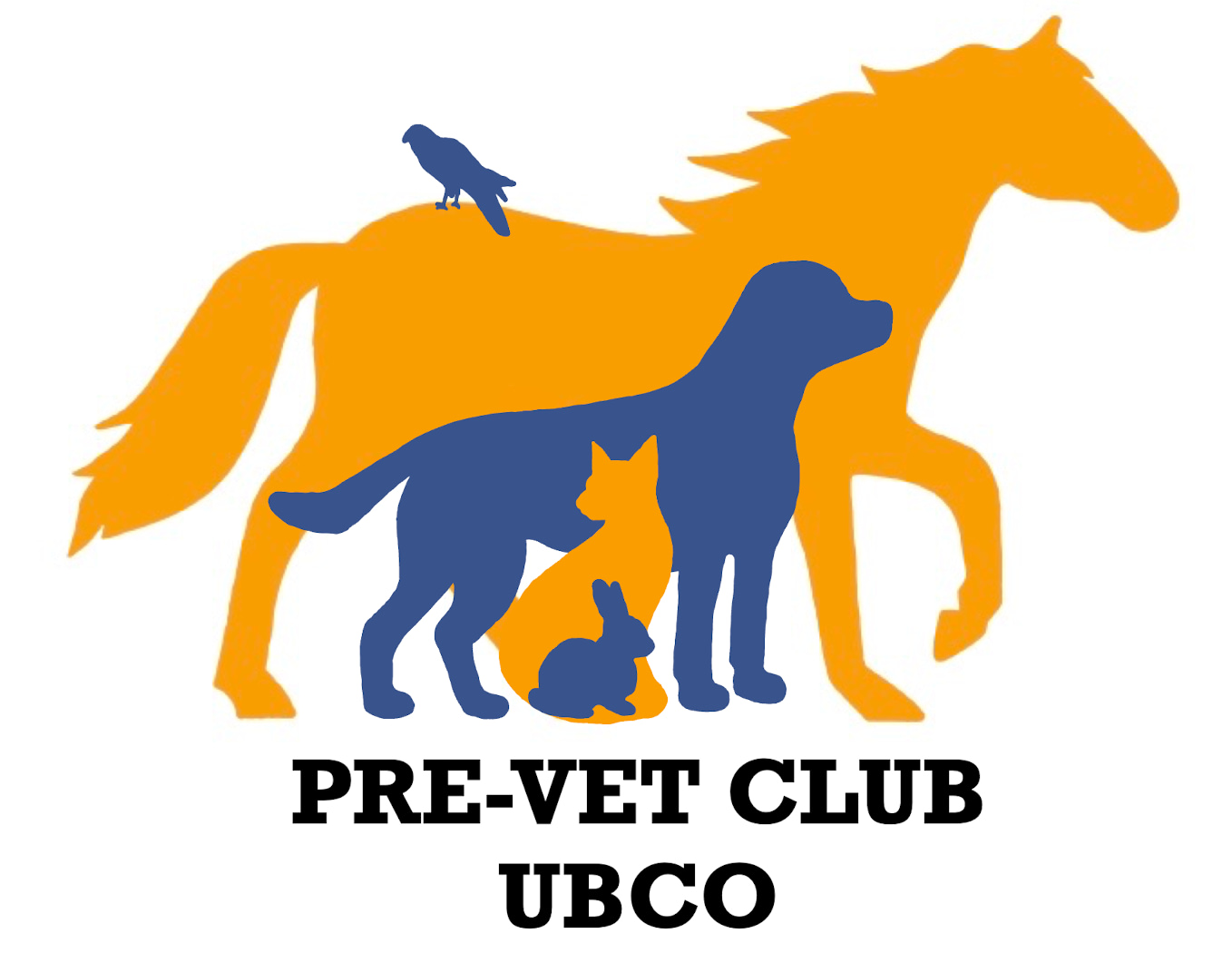 Halloween Movie Night hosted by the Pre Vet Club - Students’ Union ...